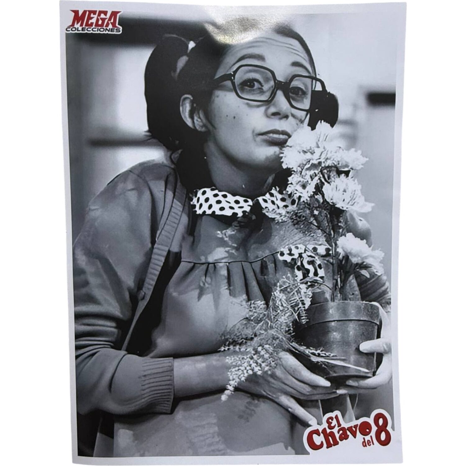 Álbum El Chavo del 8 – Colección Completa para Pegar (Incluye Pósters ...